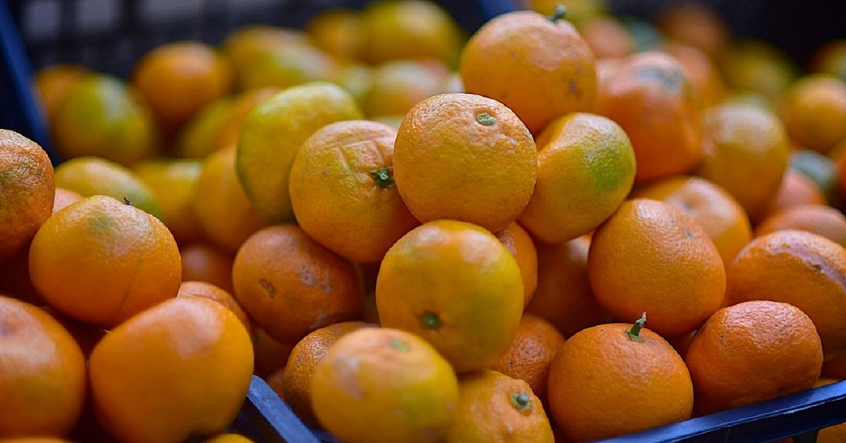 Qué mandarinas son las más dulces: en qué fijarse al comprarlas - ¡Qué ...